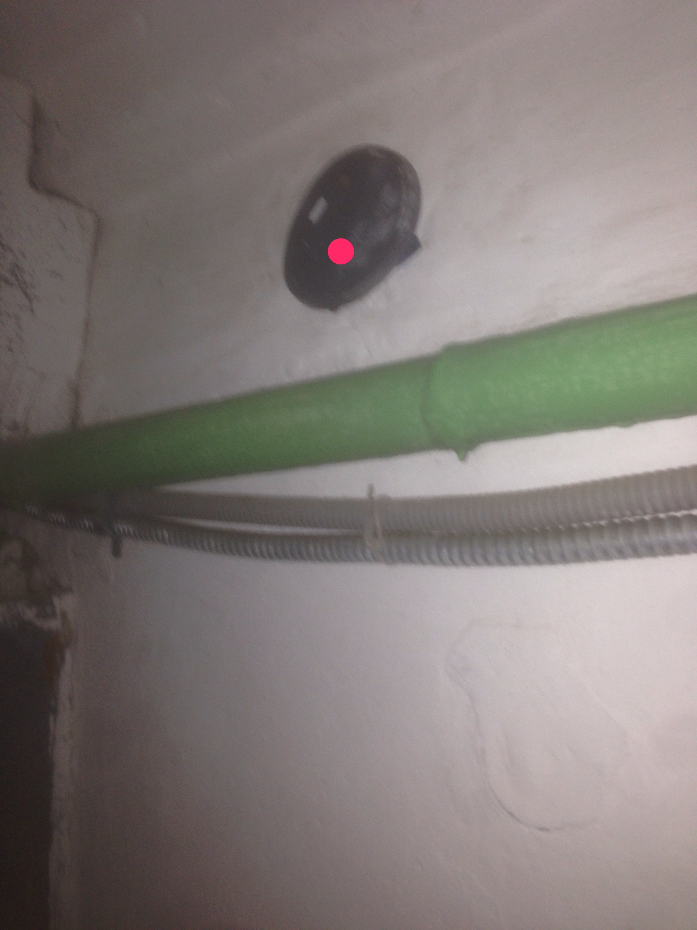 Pic4Net: image IMG_4238.JPG 9BL2SU